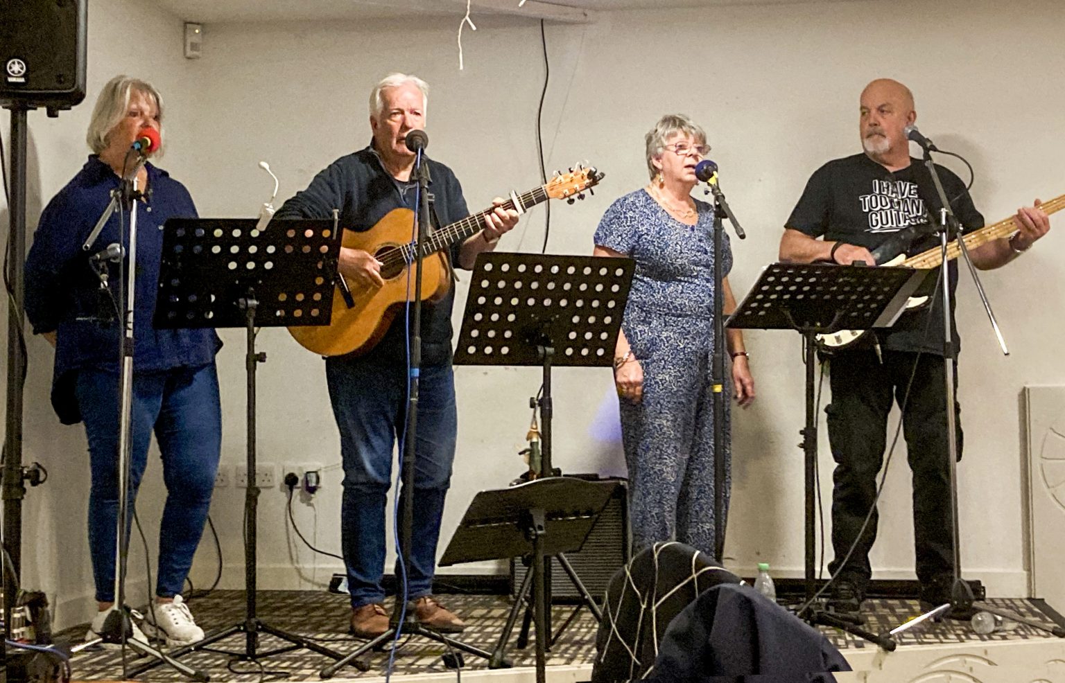 The Lesley Hale Charity Concert 2024 – Nitten Folk Club